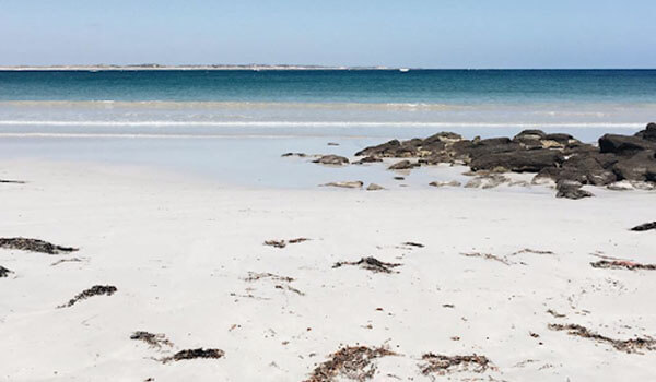 7 Places To Camp In Victoria That Are Definitely Worth Checking Out ...