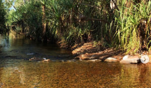 7 Free Camps in Northern Territory – Big Lap Bible