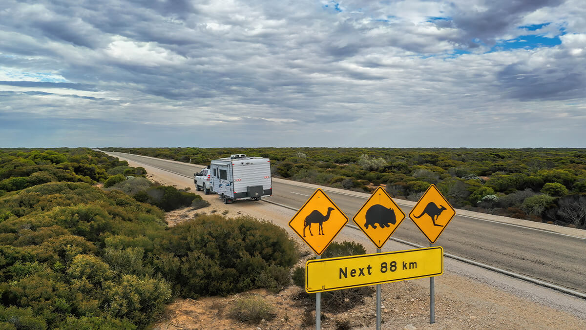 Big Lap Must Haves: Your Pre-Lap Shopping List - Big Lap Bible