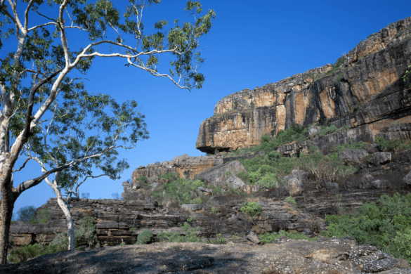 Every Free Camp You Need To Know About In Northern Territory - Big Lap ...