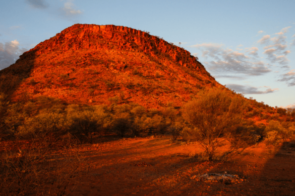 The Big Lapper's Guide To Driving The Nullabor