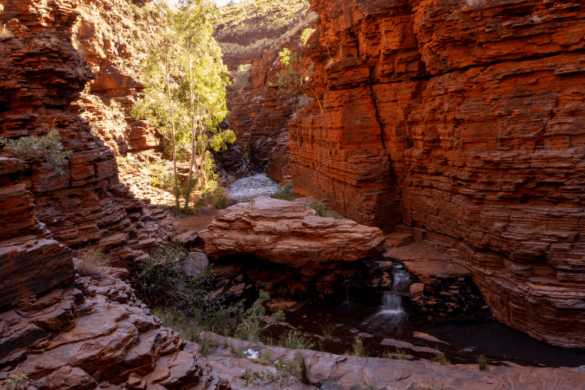 17 Free Camps On The Coral Coast Every Big Lapper Should Know