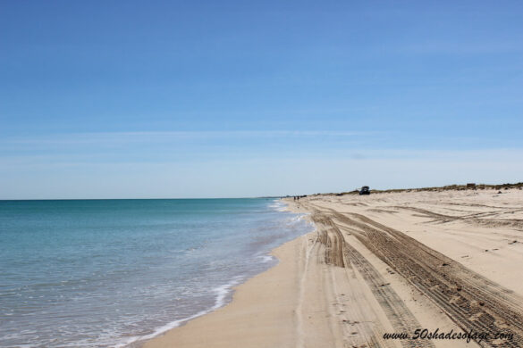 Cable Beach - Everything You Need To Know For Your Visit