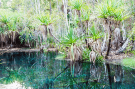 Big Lap Bible - Helping Australian Travellers See Everything Australia ...