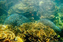 Big Lap Bible - Helping Australian Travellers See Everything Australia ...