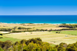 Your Ultimate Guide To Savannah Way - North Australia's Epic Road Trip